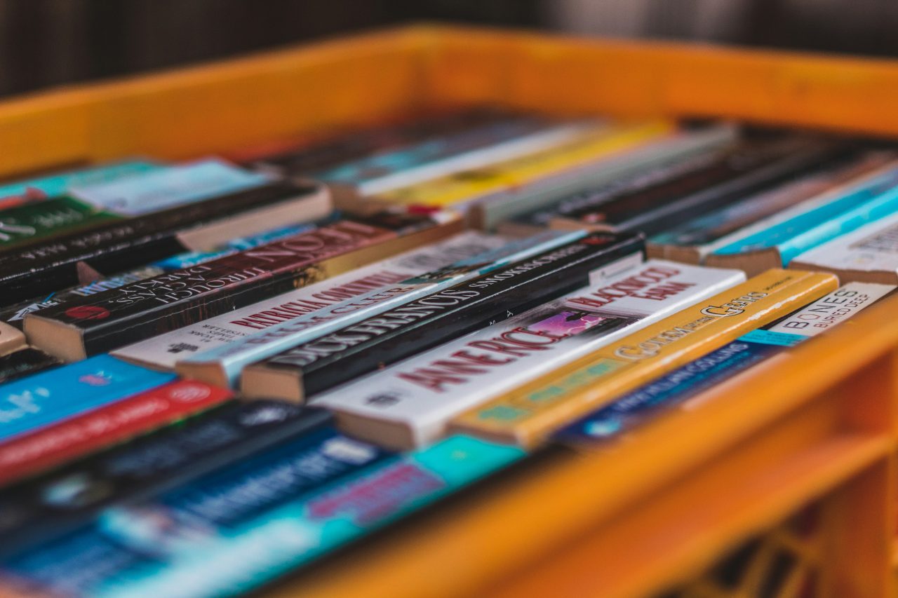 Prévenir une Infestation de Puces Efficacement à Domicile - People Like Us